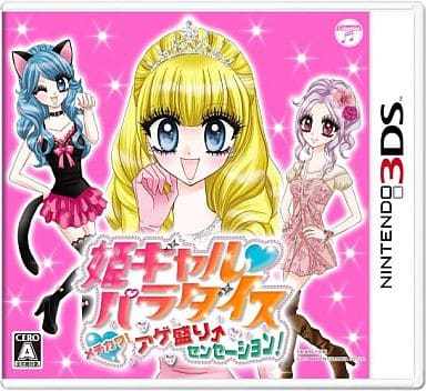 Nintendo 3 ds Software Princess Gyaru Paradise | Game | Suruga-ya.com