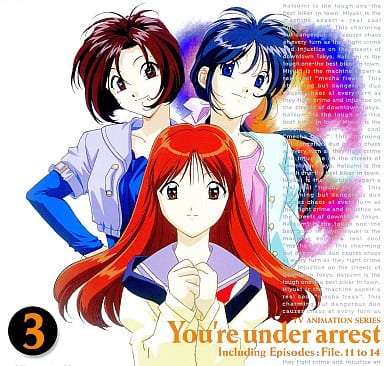 LD You're Under Arrest 3 | Video software | Suruga-ya.com