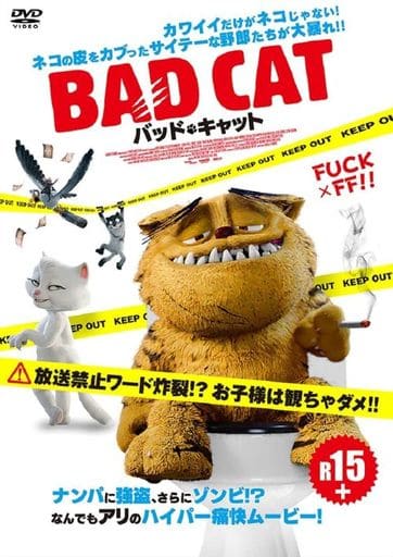 Anime DVD Bad Cat | Video software | Suruga-ya.com