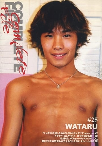 駿河屋 -【アダルト】 COMPLETE FILE #25 WATARU（AV）