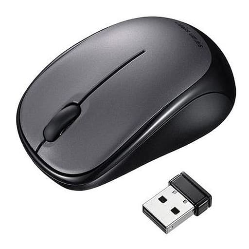 Sanwa Supply Wireless Mouse (Dark Silver) [MA-WBS311DS] | PC | Suruga ...