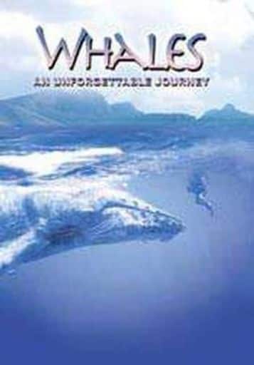 IMAX Shea, Whales and Unknown Ecology (Beam Entertainment Co., Ltd ...