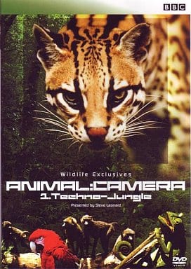 Documentary / Animal Camera : Jungle Animals | Video software | Suruga ...