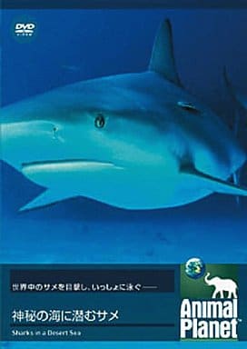 Other DVDs Documentary : Animal Planet : Sharks in the Mysterious Sea ...