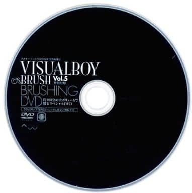 Other DVDs VISUAL BOY BRUSH Vol. 5 Special Appendix BRUSHING DVD A ...