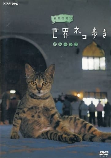 World of Mitsuaki Iwago Cat Walking Murray Shea | Video software ...