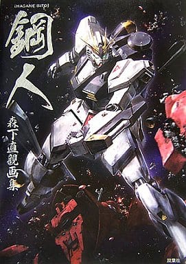 Naochika Morishita Gashu Kanjin | Book | Suruga-ya.com