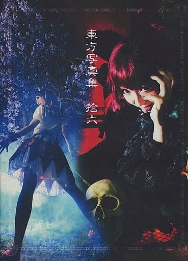 Toho Photo Collection 16 / Akakage Honpo | Doujin | Suruga-ya.com