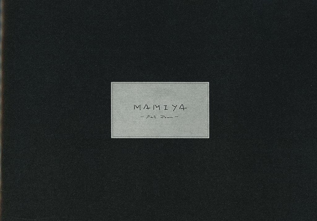 駿河屋 - MAMIYA -Fall Down- / けんこうランド（ゲーム）