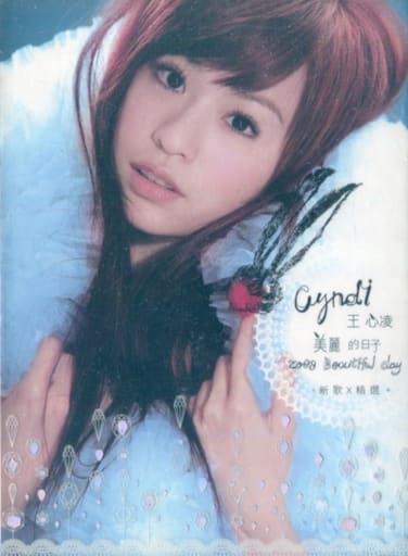 Cyndi Wang (Cyndi Wang) / Cyndi Wang 2009 Beautiful Nikko [import ...