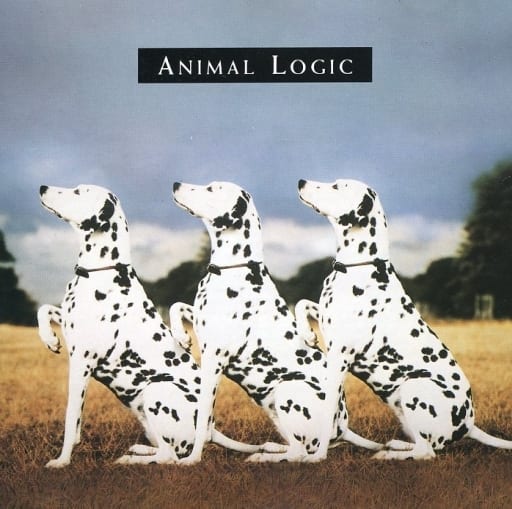 Imported Western music CDs ANIMAL LOGIC / ANIMAL LOGIC [import panel ...