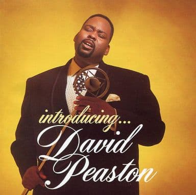 駿河屋 - DAVID PEASTON / INTRODUCING DAVID PEASTON[輸入盤]（その他）