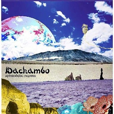 Japanese music CDs Dachabo / Afroderick Ngoma | Music software | Suruga ...