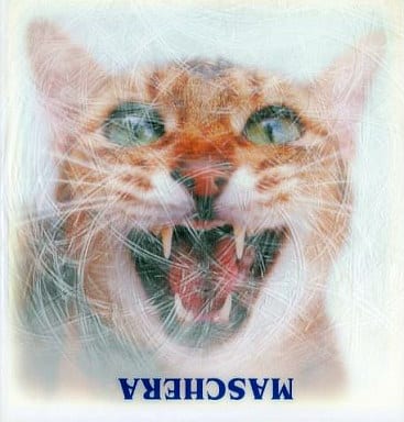 Japanese music CDs MASCHERA / iNTERFACE | Music software | Suruga-ya.com