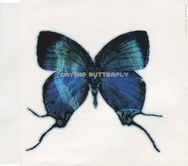 Michihiro Kuroda / CRYING BUTTERFLY | Music software | Suruga-ya.com