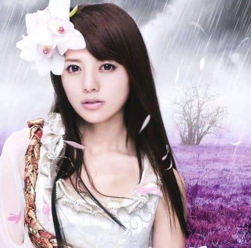 Alan / Flowers toward the Wind [with DVD] | Music software | Suruga-ya.com