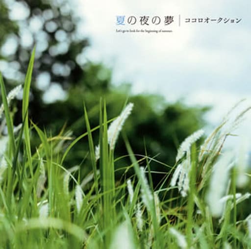 Japanese Music Cds Cocoro Auction Summer Night Dreams [first Press