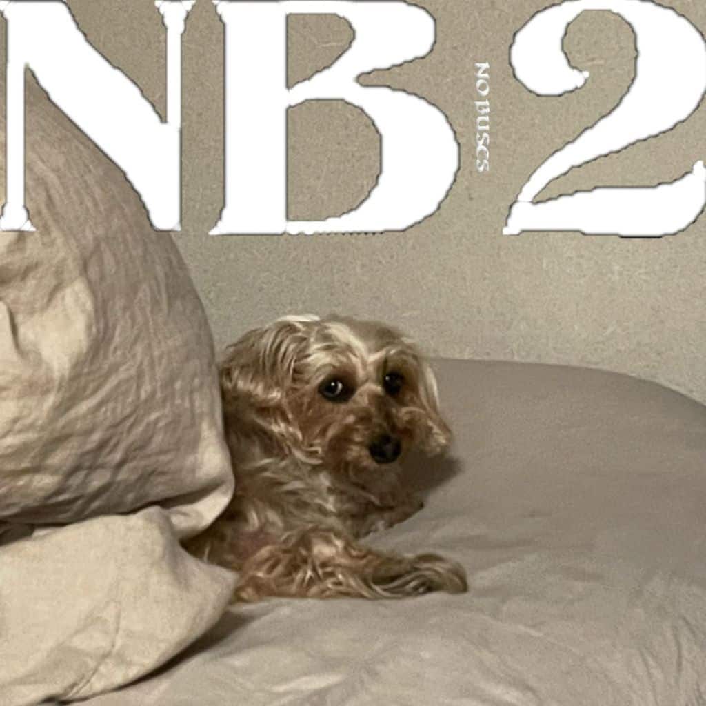 駿河屋 - No Buses / NB2（邦楽）