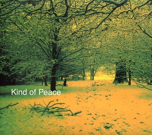 Western music CDs Pat Dee & Lady Paradox / Kind of Peace | Music ...