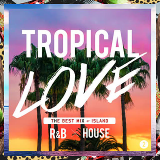 Western music CDs Omnibus / TROPICAL LOVE 2 - THE BEST MIX of ISLAND R & B × HOUSE | Music ...