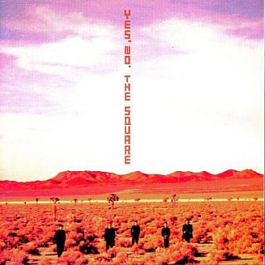 THE SQUARE / Yes,No. | Music software | Suruga-ya.com