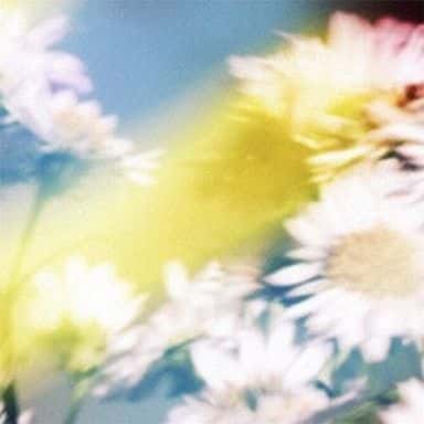 Japanese music indies CD Plastic Tree / Sion [First Press Limited Board A] | Music software ...