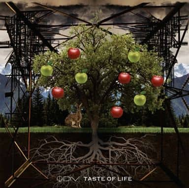Japanese music indies CD DIV / TASTE OF LIFE [First Press Limited edition with DVD] | Music ...