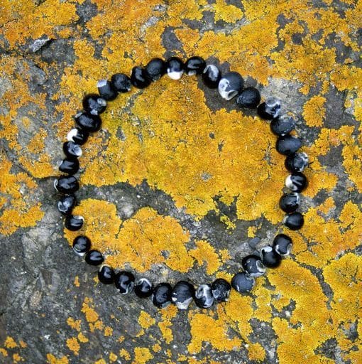 駿河屋 - Nels / Sprout（邦楽）