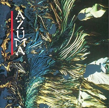 Yoshitaka Azuma / Azuma | Music software | Suruga-ya.com