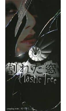 Single CD Plastic Tree / Broken Window | Music software | Suruga-ya.com