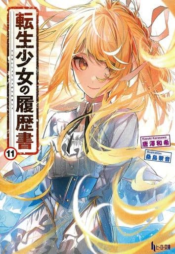 Light Novel Paperback Size Résumé of Reincarnation Girl (11) Hero ...