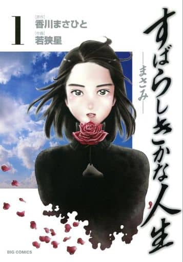 Wonderful Life - Masami - (1) Big Comics | Book | Suruga-ya.com