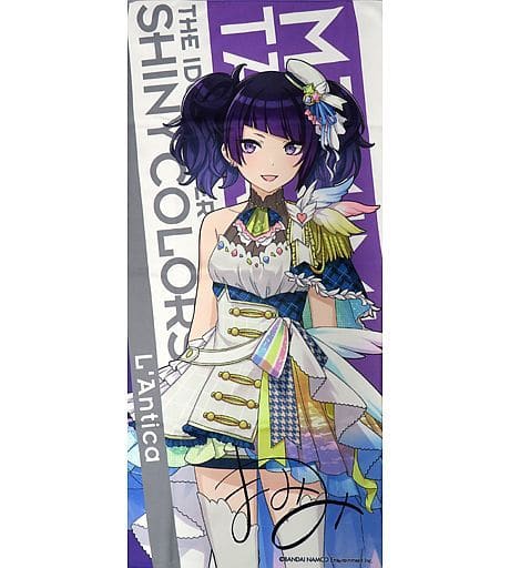 Miscellaneous goods "Bibi Master Shiny Colors" full color towel (sunset ...