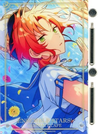 Tsukinaga Leo Acrylic Shadow Box "Ensemble Stars! ×animatecafe" | Goods ...
