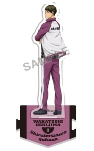 Ushinoshima WAKATOSHI-DOYO Whole Body Acrylic Stand "Haikyu!" | Goods ...