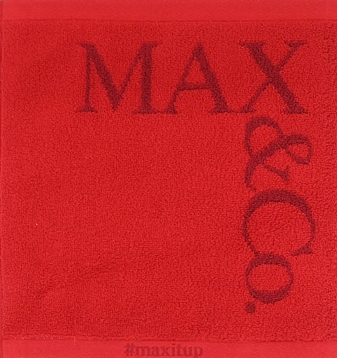Miscellaneous goods MAX&Co. Logo Towel Handkerchief "The Rose of ...