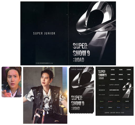 Kyu Hyun Special AR ticket set "Beyond LIVE -SUPER JUNIOR WORLD TOUR -SUPER SHOW 9 : ROAD ...
