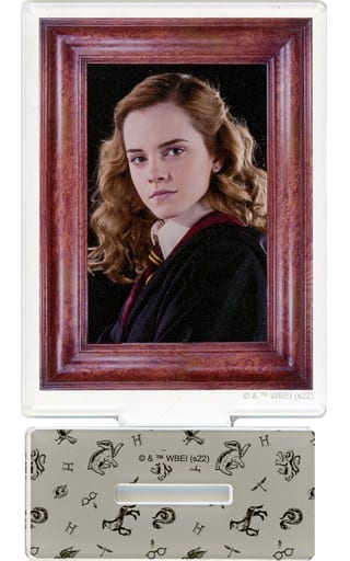 3. Hermione Granger "Harry Potter Acrylic Stand Collection" | Goods ...