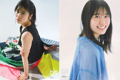 Extra Large Poster 2-Type Set (4-fold) Nibu Akesato (Hyuga Zaka 46) blt ...