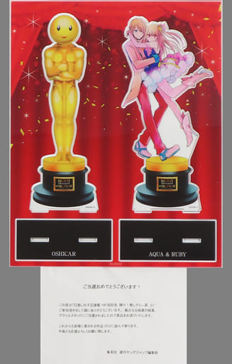 Miscellaneous goods [With winning notice] Rumi Hoshino (Ruby ...