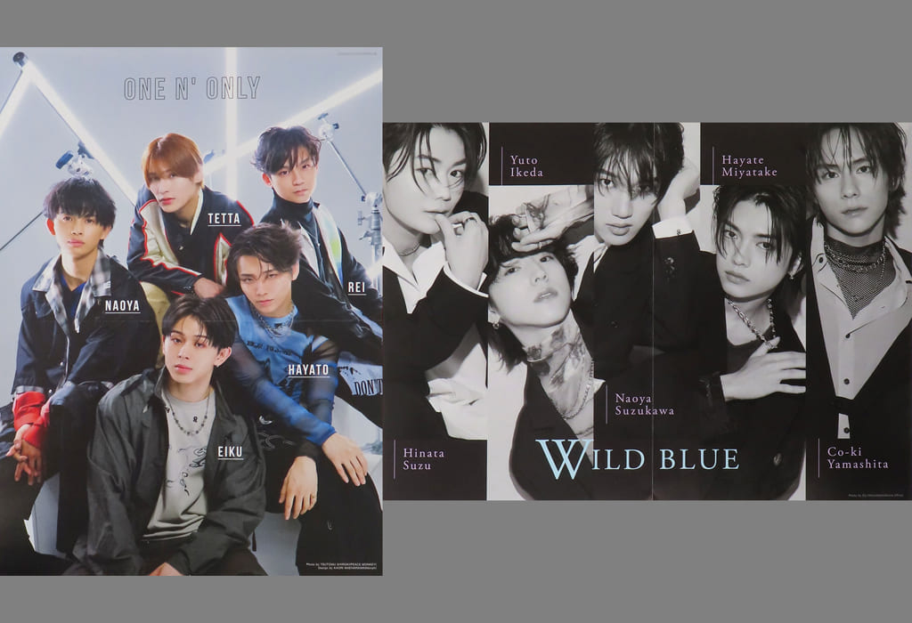駿河屋 - A3両面ピンナップポスター(二つ折) ONE N’ ONLY/WILD BLUE JUNON 2025年8月号 綴じ込み付録（ポスター）