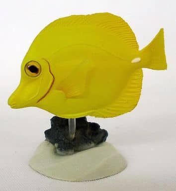 Trading figure Yellow tang 「 Primary Color Marine Fish Guide I 」 | Toy ...