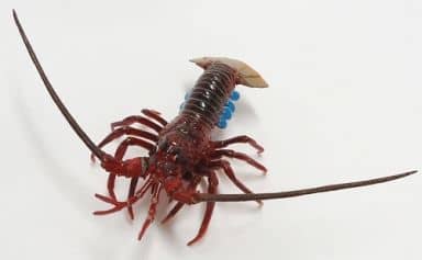 Trading figure 09. Spiny Lobster 「 Nature Technicolor Nihonnoikumono ...