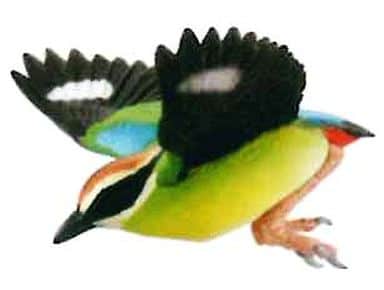 Fairy pitta "Capsule Q Museum Japanese Animal Collection IV Shikoku ...