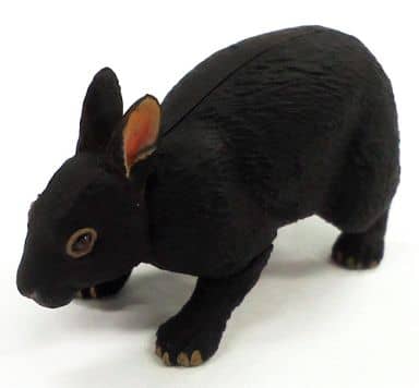 Amami rabbit 「 Capsule Q Museum Japanese Animal Collection II Okinawa ...