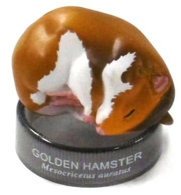 03. Golden hamster (brown / wild type) 「 Hamster's Lunch 」 | Toy Hobby ...