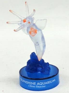 6. clione (Clione) 「 Sunshine Aquarium Figure Collection 」 Sunshine ...