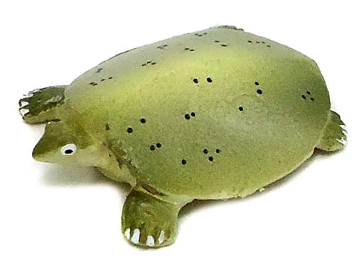 Nihon Suppon 「 ed Turtle Stereoscopic Capsule Encyclopedia, Primary ...