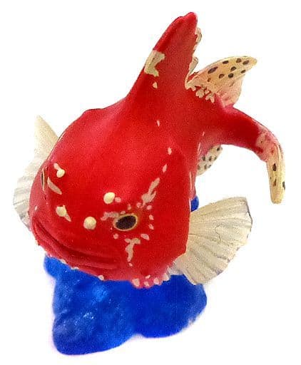 3. Dugout fish (red) "Capsule Aquarium Nihon Aquarium three dimensional ...