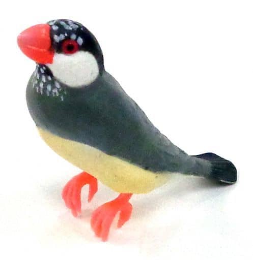 Trading figure Sakura Java bird "Sparrow and Java bird collection ...